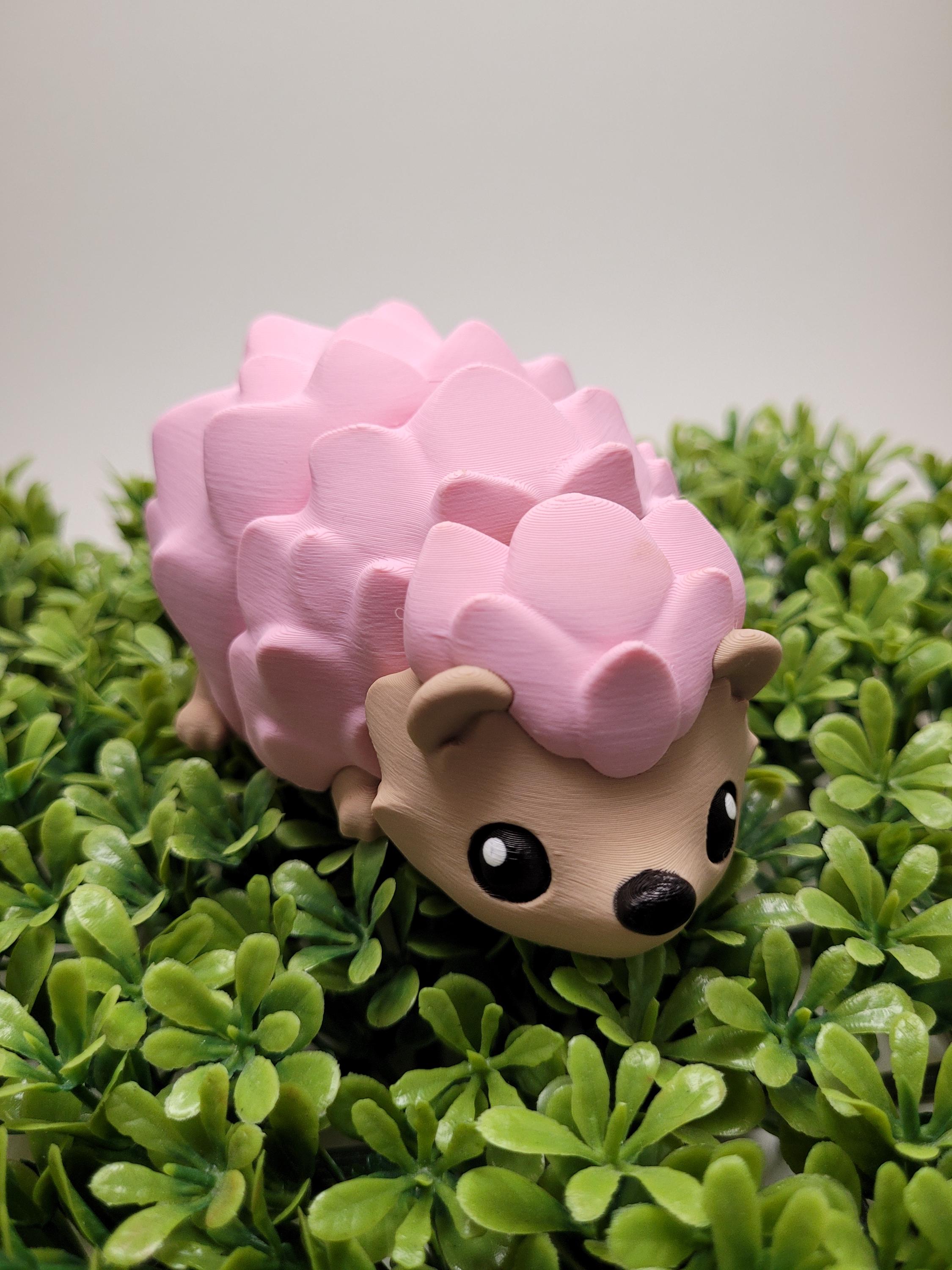 Hedgehog Flexi Fidget Figurine - 3D Printed - Authorized Seller ...