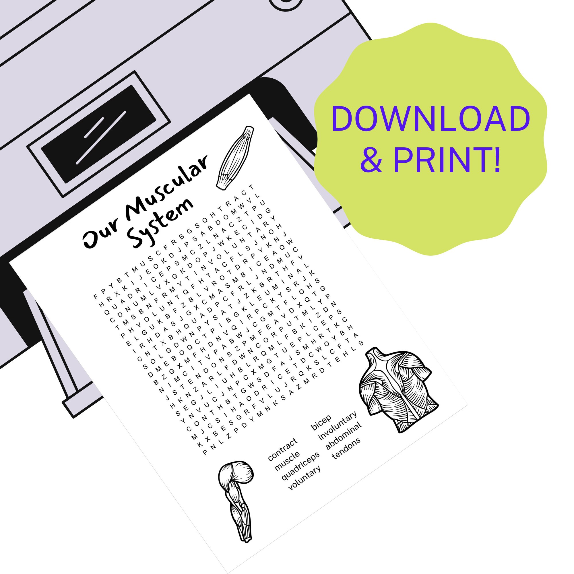 Muscular System Word Search
