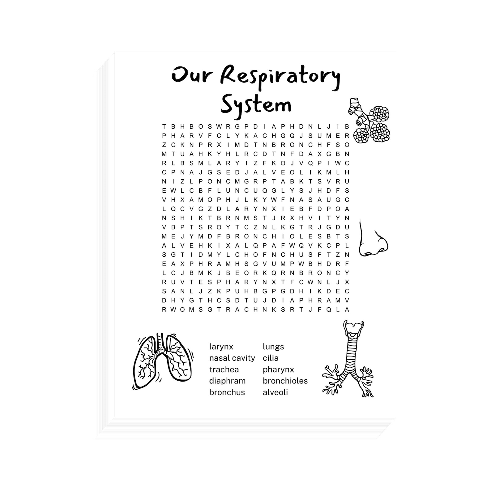 Body Systems Word Search Bundle Printable Value Pack Of 5 Etsy body-systems-word-search-bundle-printable-value-pack-of-5-etsy