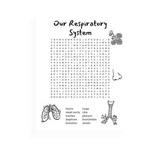 Body Systems Word Search Bundle Printable Value Pack of 5 - Etsy