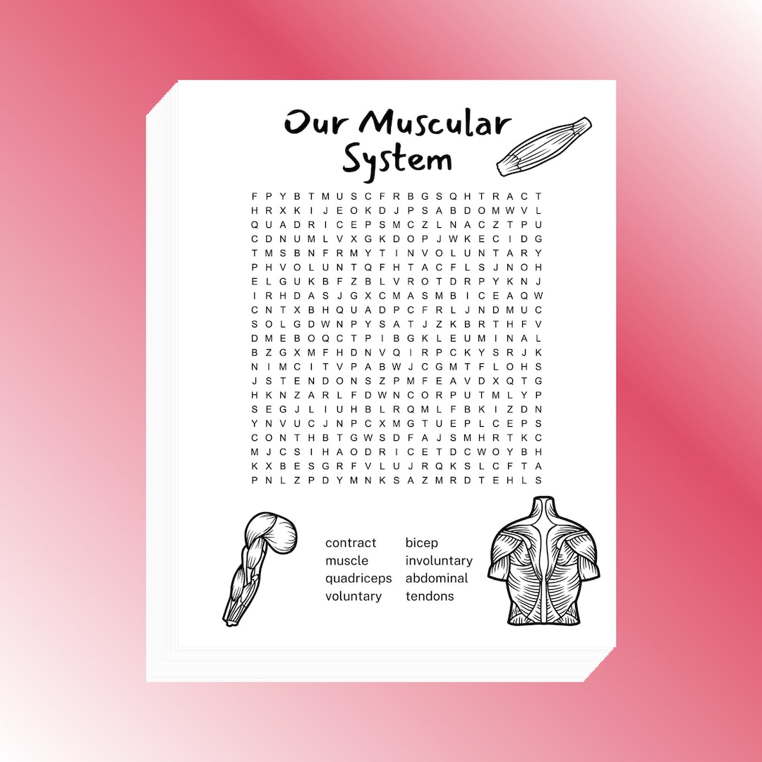 muscular-system-word-search-printable-8-5x11-inch-etsy