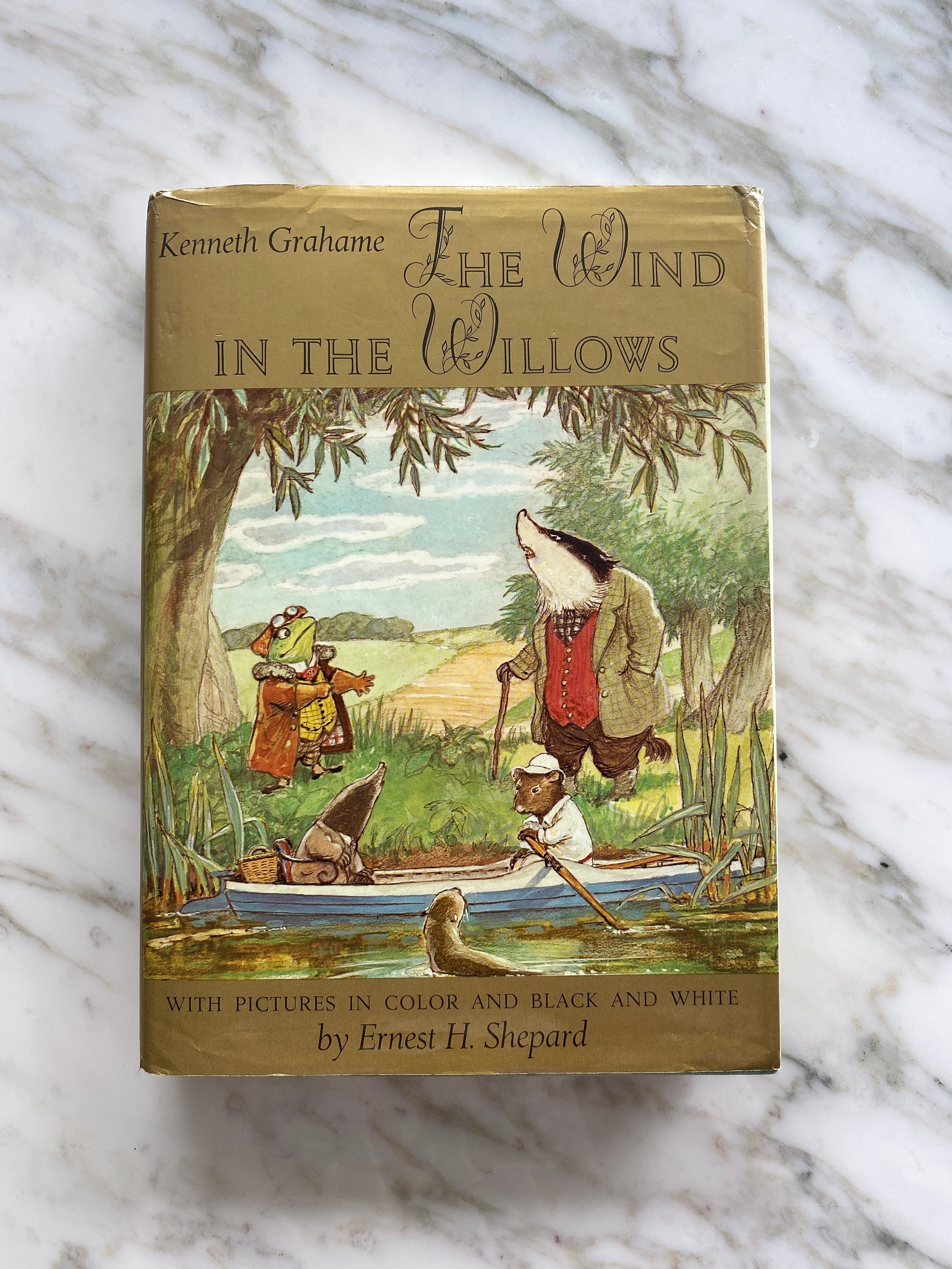 The Wind In The Willows Book