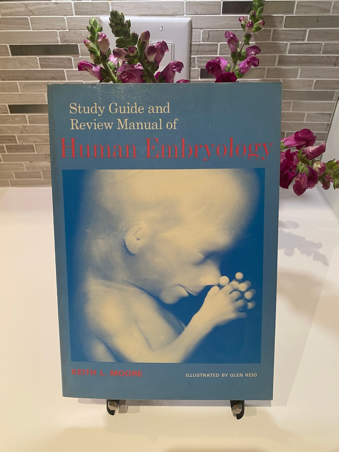 VINTAGE Study Guide and Review Manual of Human Embryology by Keith L ...