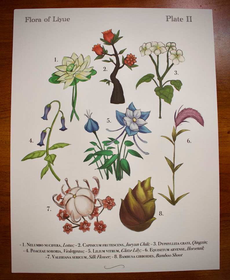 Flora of Genshin Impact Botanical Prints | Mondstadt Liyue Inazuma - Etsy