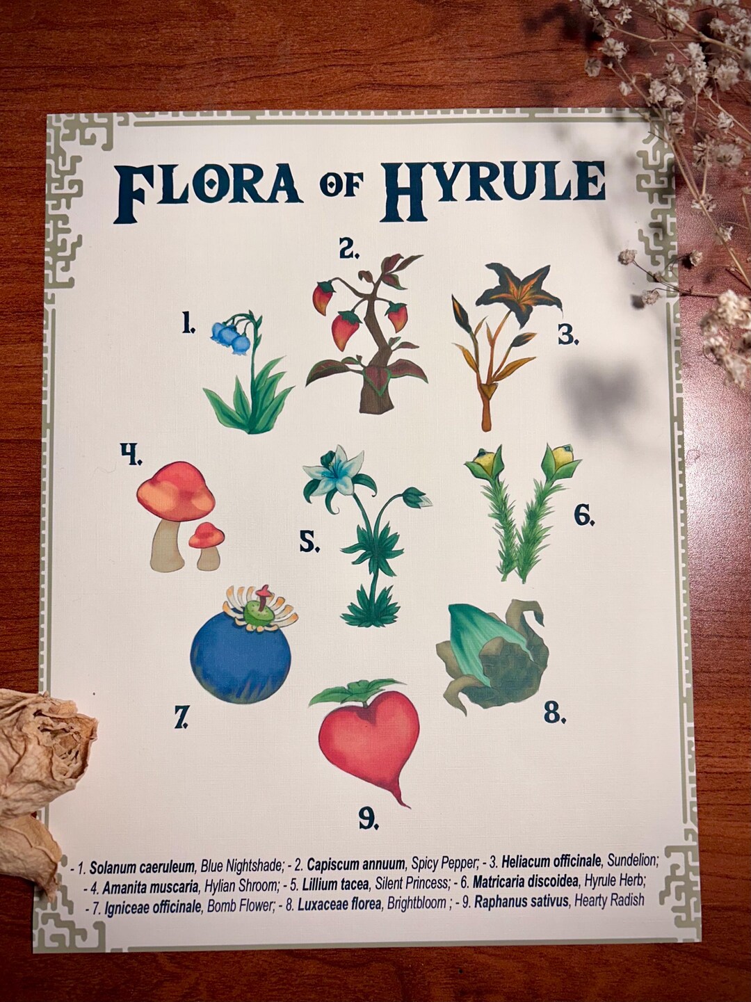 Flora of Hyrule Print: Legend of Zelda BOTW/TOTK Fanart (8.5x11) - Etsy