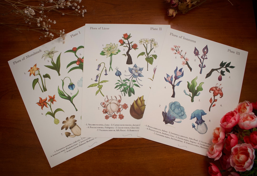 Flora of Genshin Impact Botanical Prints | Mondstadt Liyue Inazuma - Etsy