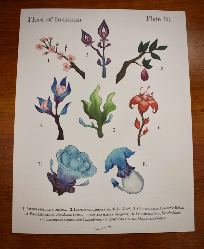 Flora of Genshin Impact Botanical Prints | Mondstadt Liyue Inazuma - Etsy