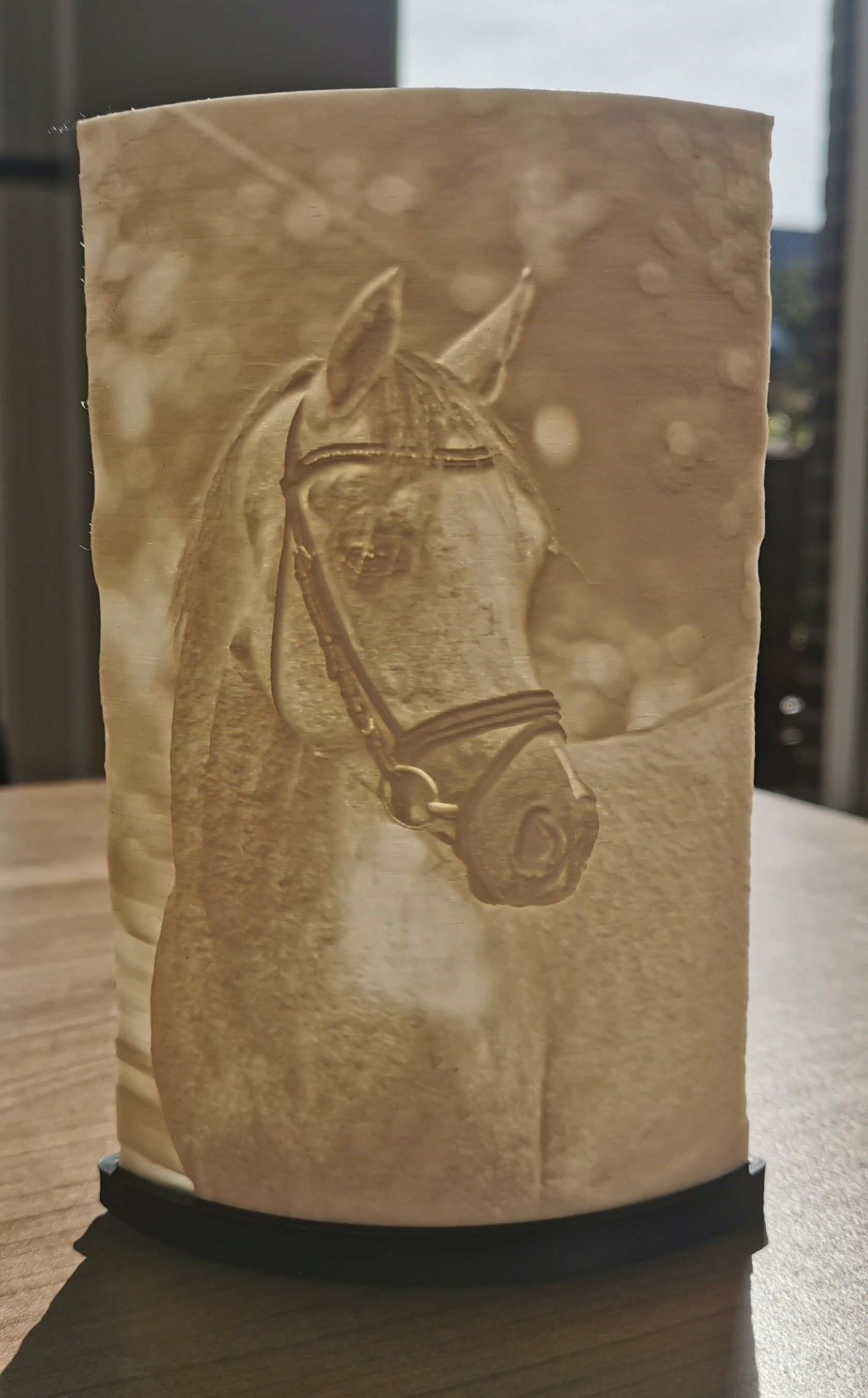 Lithophane - Custom 3D Printed Image - Etsy