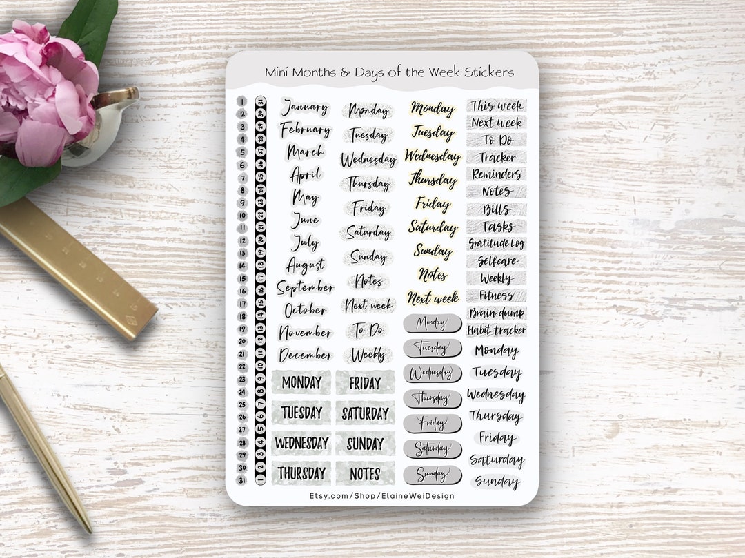 Mini Months & Days of the Week Stickers| Monthly Functional Script ...