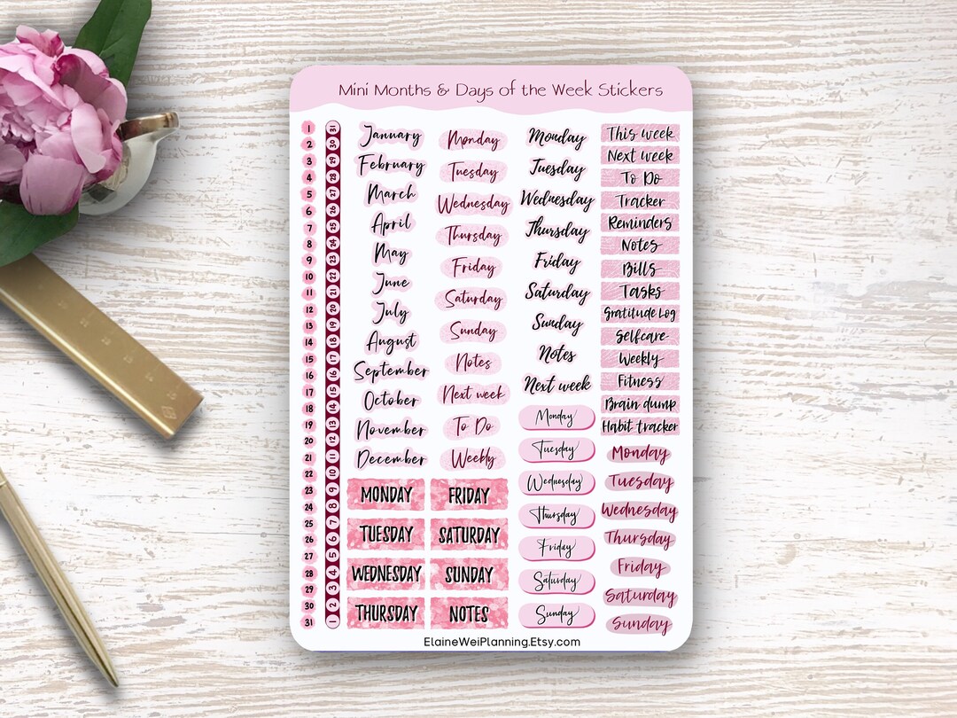 Pink Mini Months & Days of the Week Stickers Monthly Functional Script ...