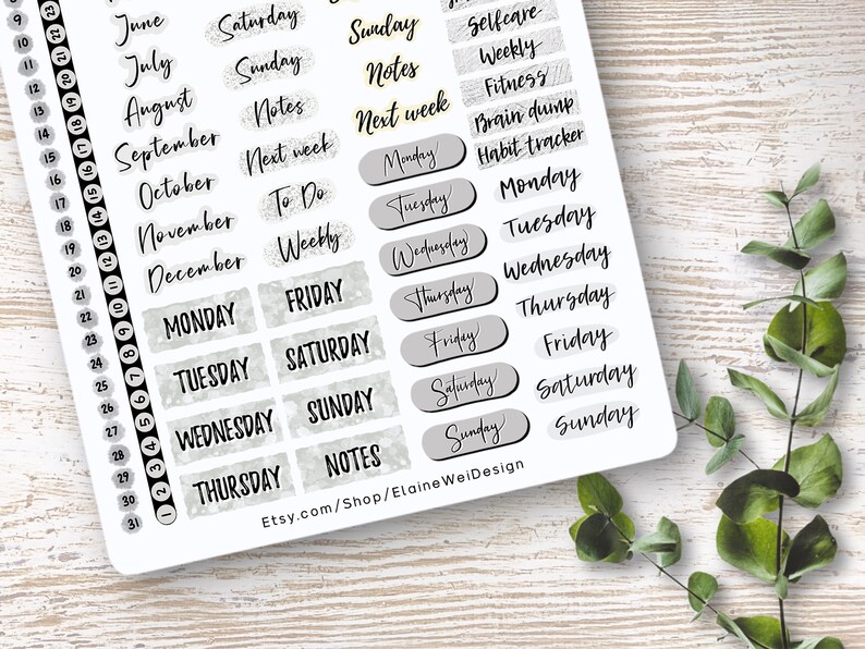 Mini Months & Days of the Week Stickers Monthly Functional - Etsy