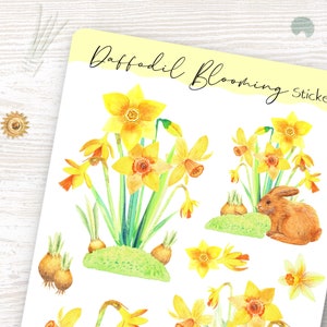 Yellow Daffodil Narcissus Sticker Daffodil Spring Flower Sticker Floral ...
