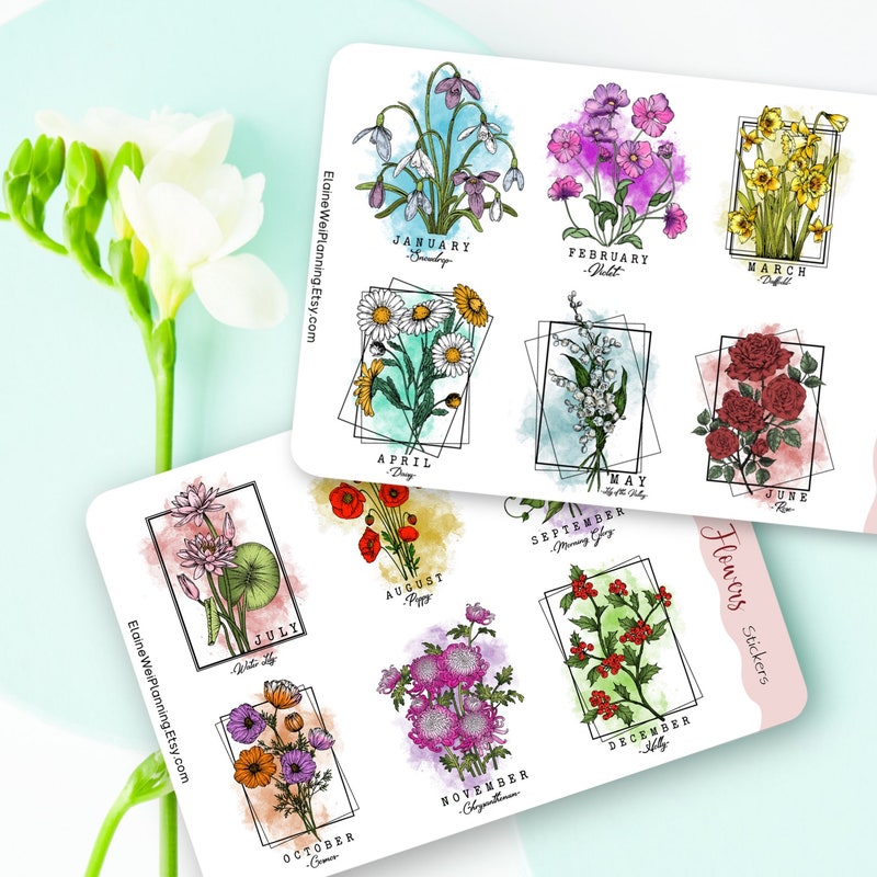 Birth Months Stickers - Etsy