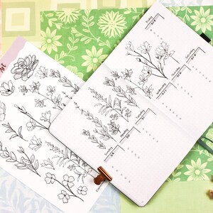 Botanical Line Art Black & White Sticker Printable Line Art Flower ...