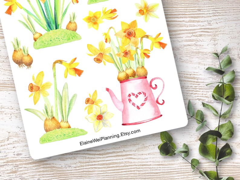 Yellow Daffodil Narcissus Sticker Daffodil Spring Flower Sticker Floral ...