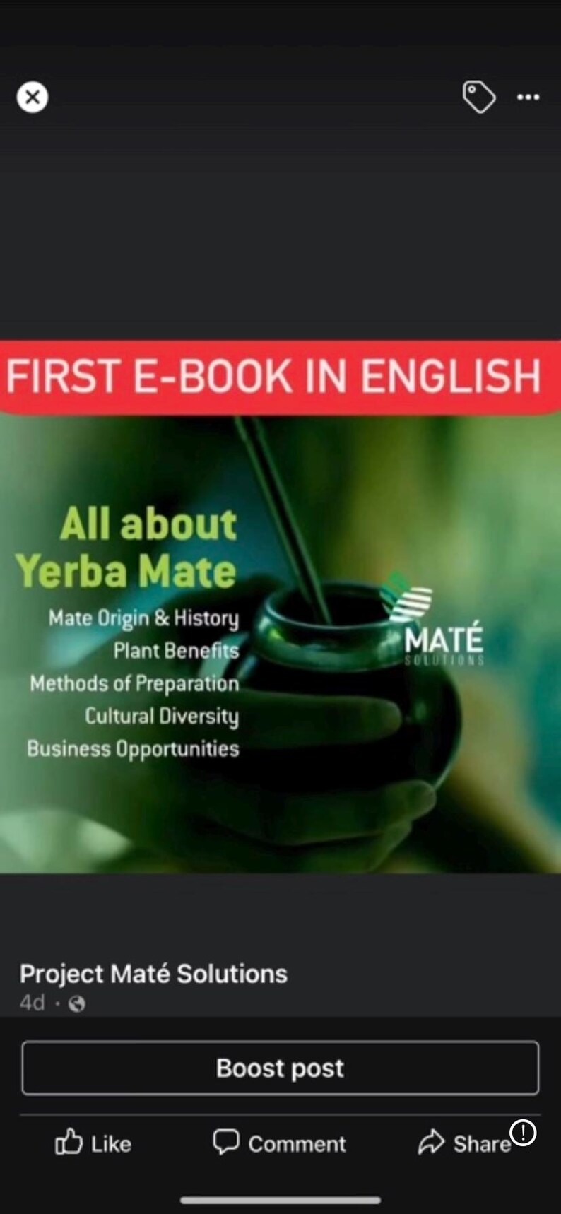 All About Yerba Mate Book - Etsy