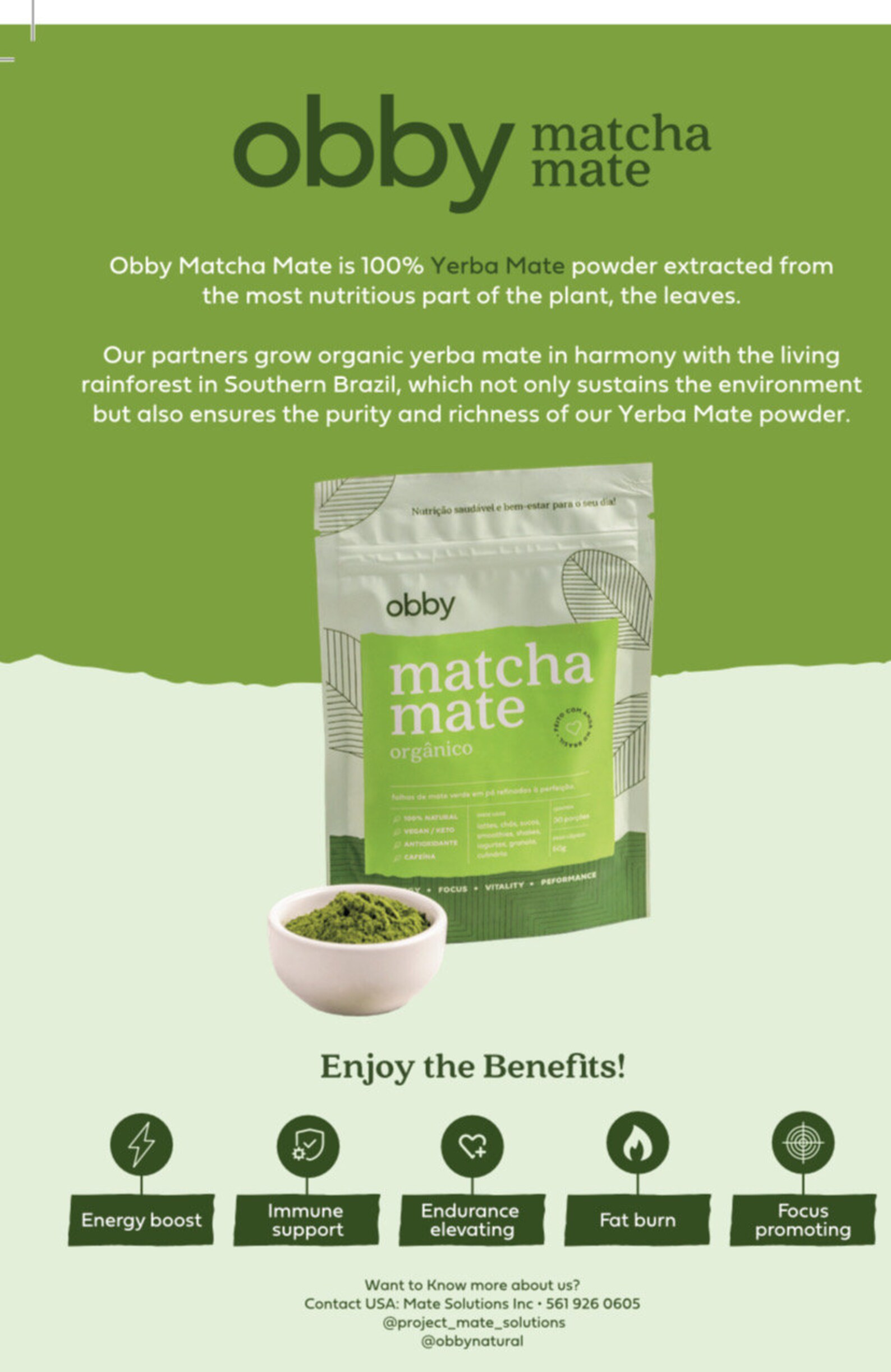 Matcha Maté Yerba Mate Soluble - Etsy