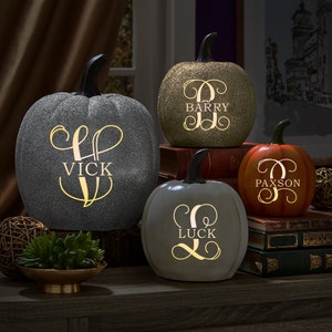 Personalized Light up Family Name & Initial Pumpkin Halloween Décor ...