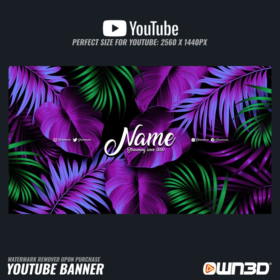 Animated Twitch Overlay Package Tropical twitch Kick - Etsy