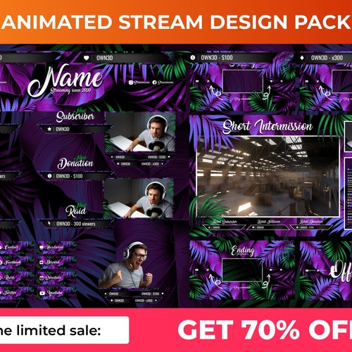 Animated Viking / Lightning Twitch Overlay Package Screens - Etsy