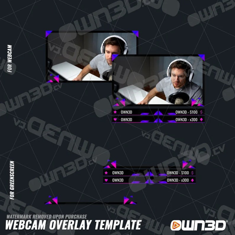 Zenith Webcam Overlay / Animated Cam Template - Etsy