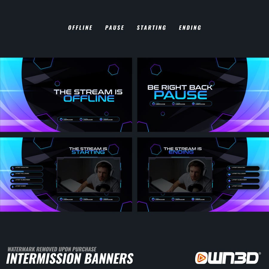 Animated Stream Overlay Package Insight [twitch | Kick | Youtube] - Etsy