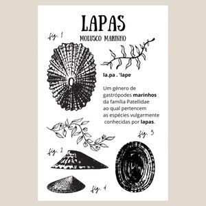 Portuguese Mariscos Set of 6 Vintage Diagrams Portuguese Seafood 4x6 ...
