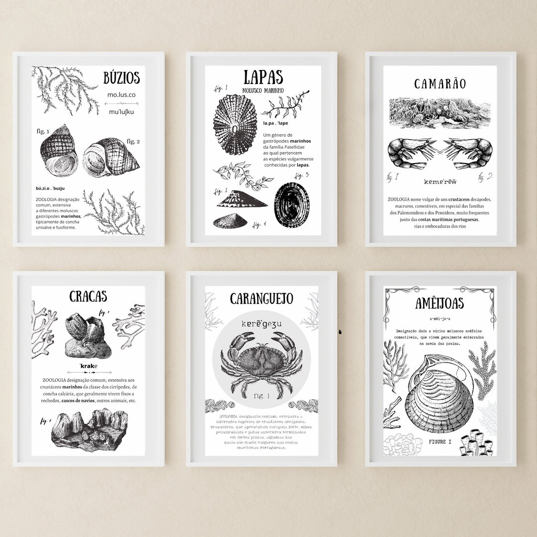 Portuguese Mariscos Set of 6 Vintage Diagrams Portuguese Seafood 4x6 ...