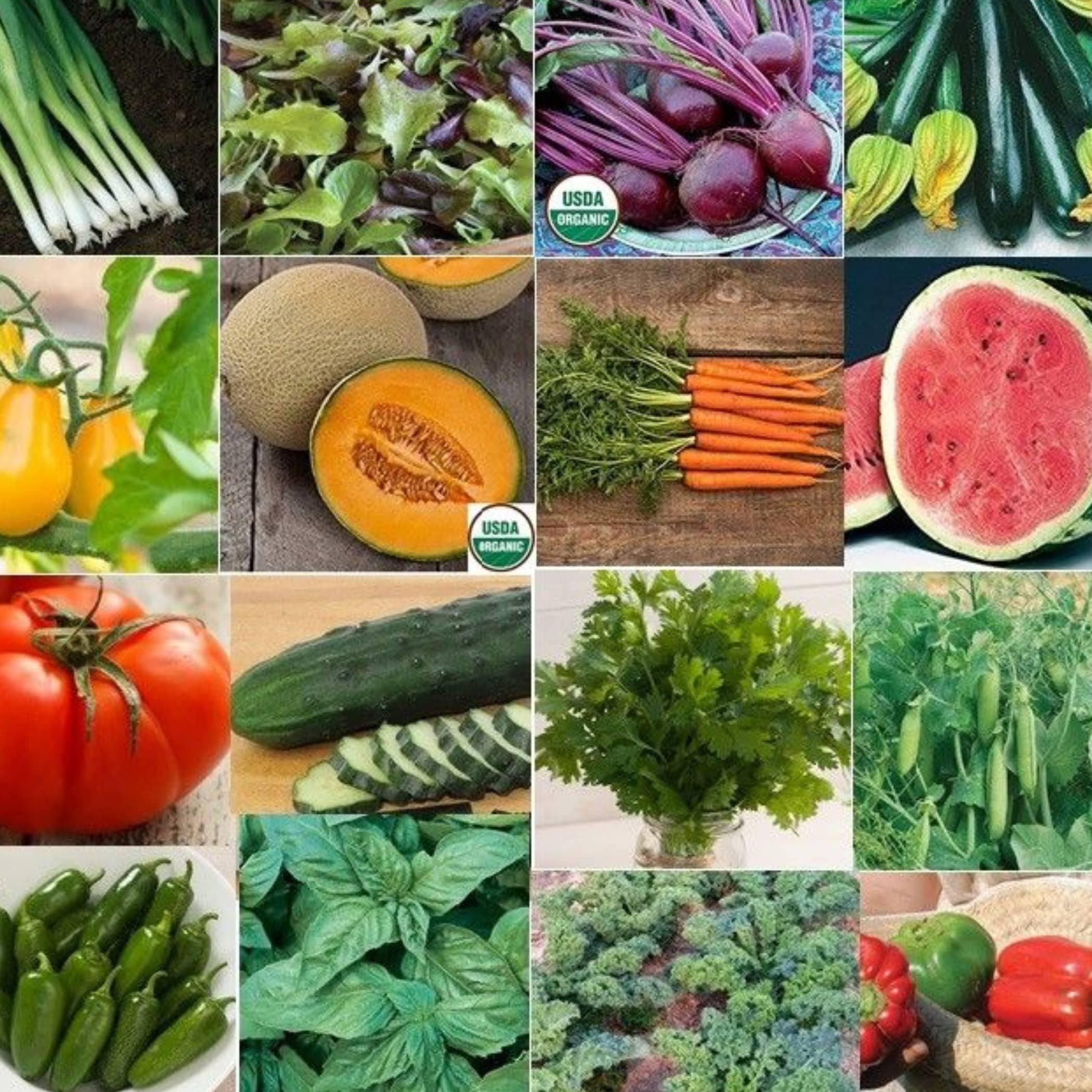 Vegetable Garden Seeds Set, Complete and Starter Kit, Gift Set - Etsy ...