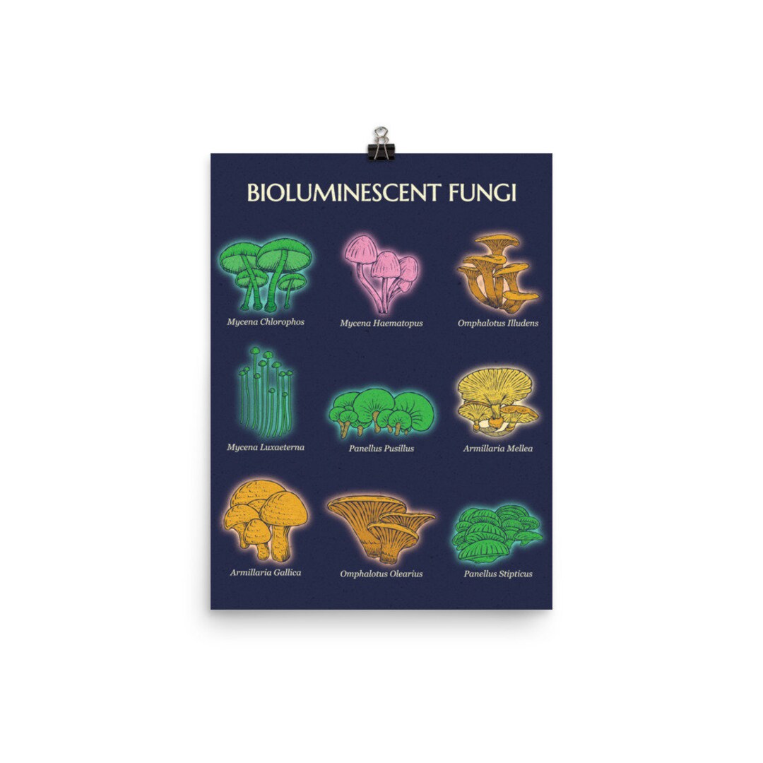 Bioluminescent Fungi Poster - Etsy