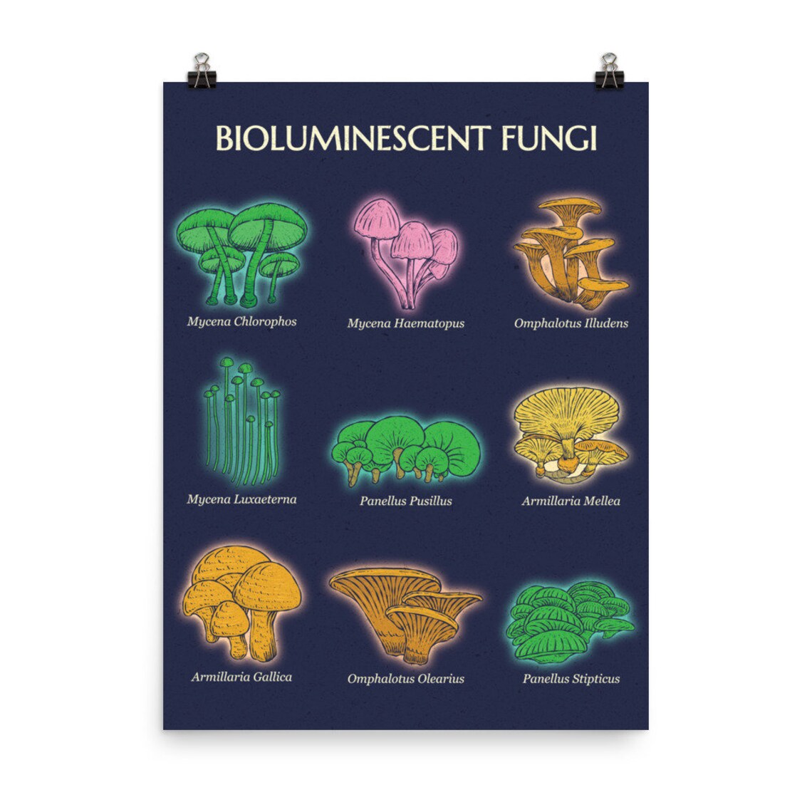 Bioluminescent Fungi Poster - Etsy