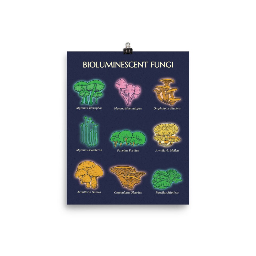 Bioluminescent Fungi Poster - Etsy