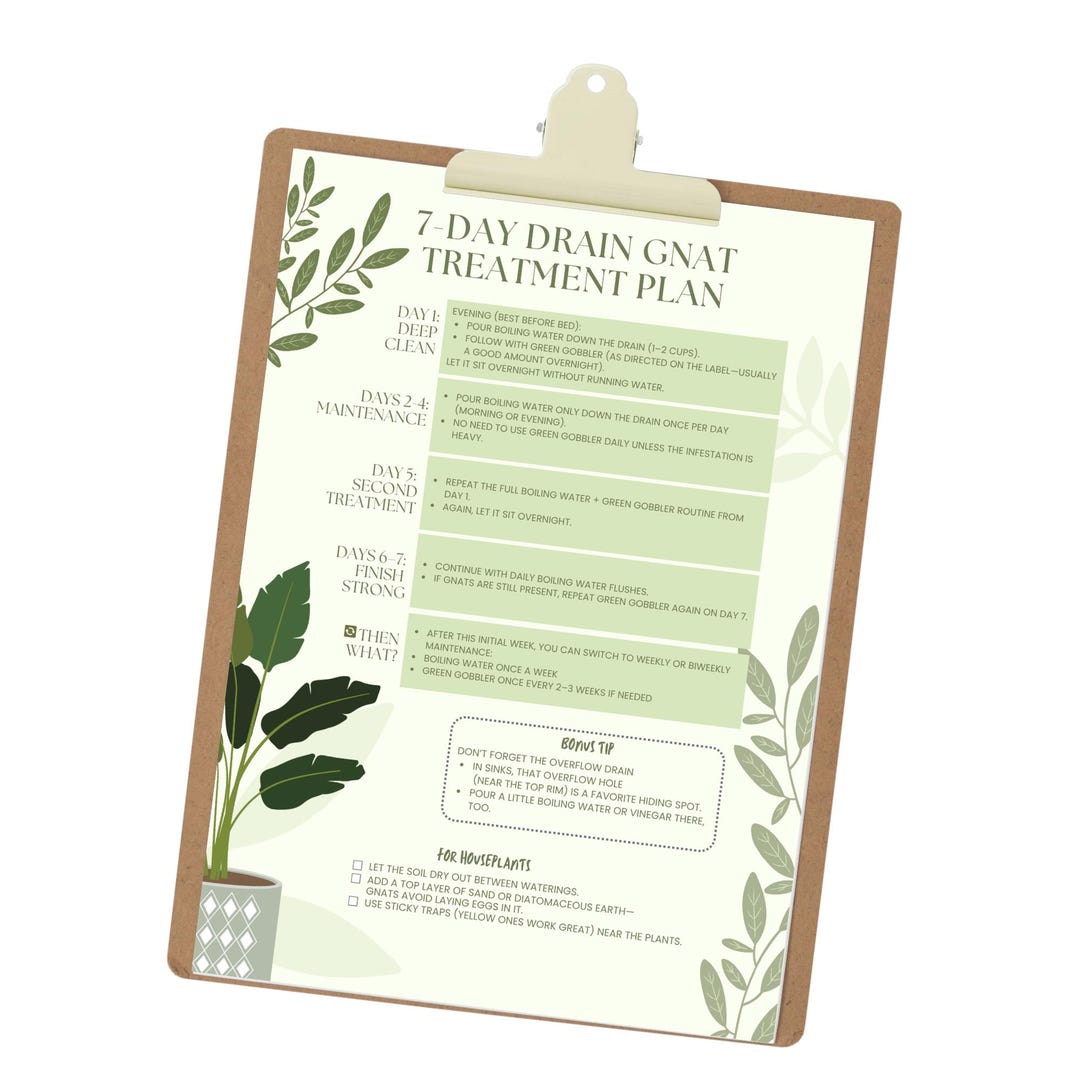 7-day Drain Gnat Treatment Plan Printable | Digital Download for Gnat ...