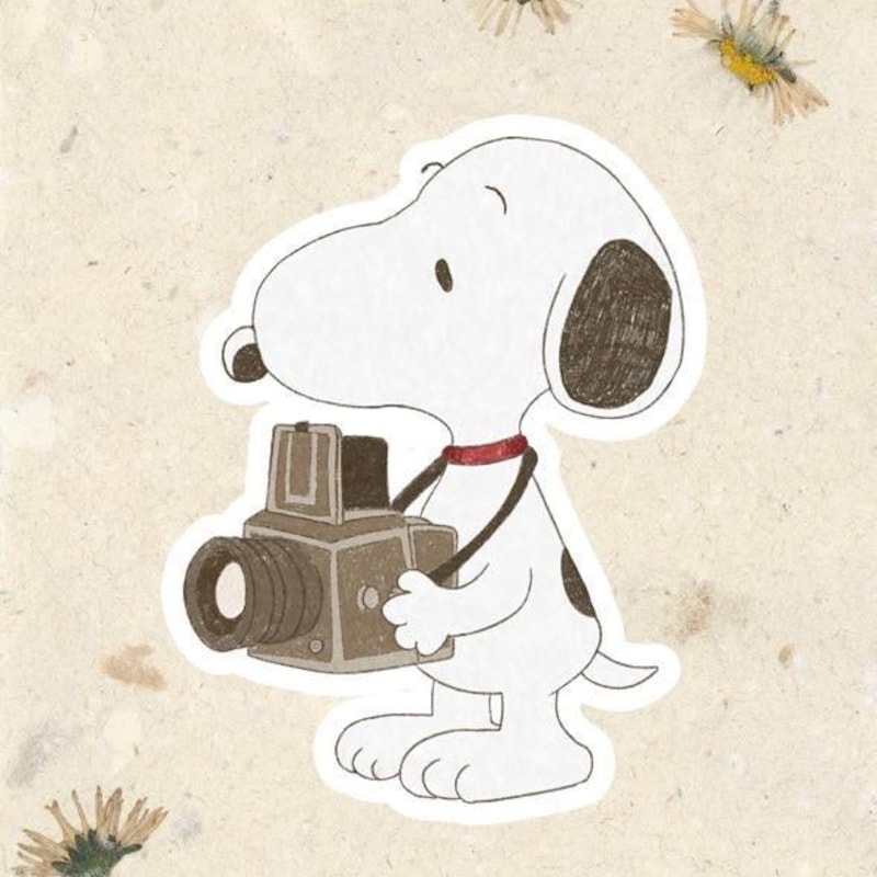 Camera Film Journal - Etsy UK