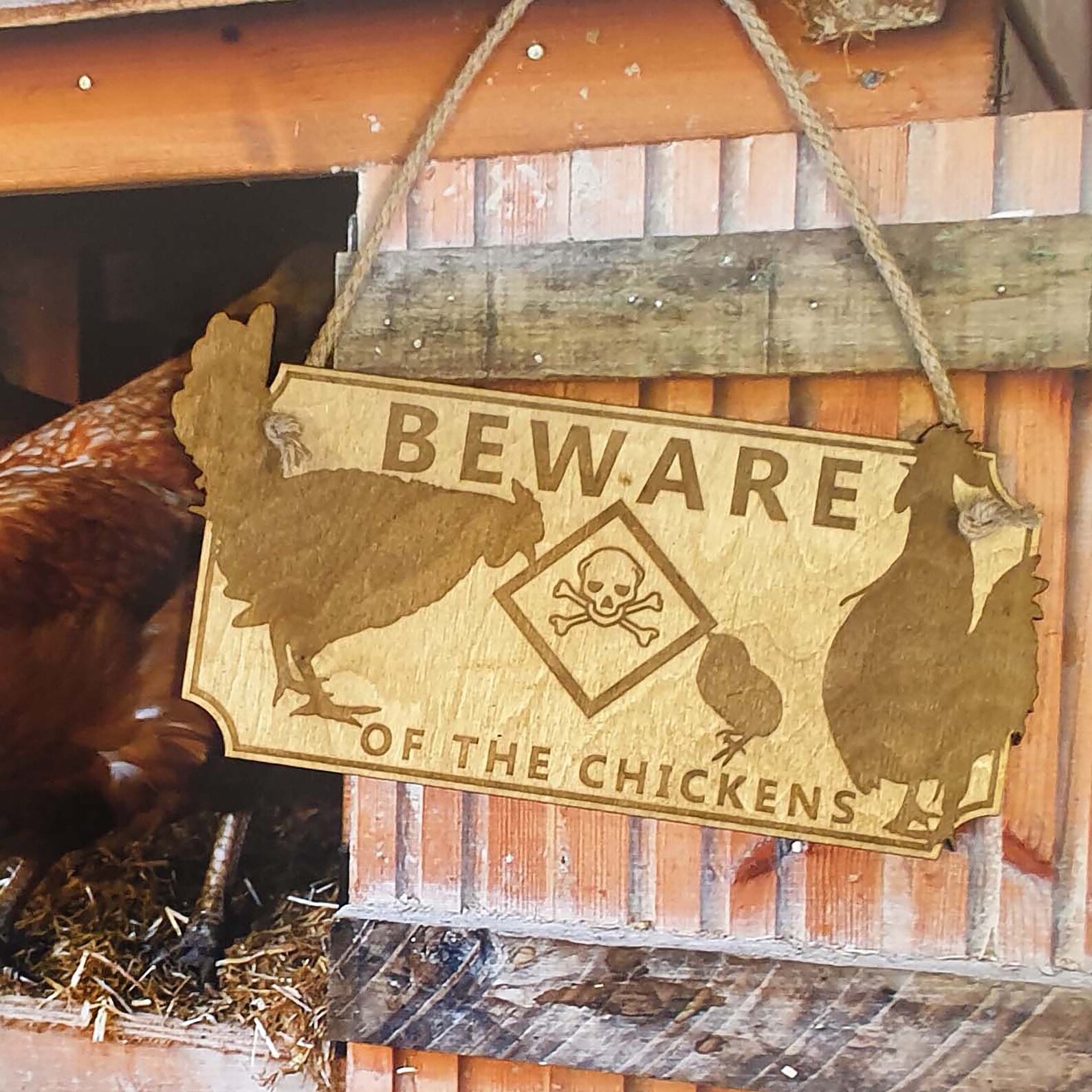 Choose From X 8 Different Chicken Signs for the Garden - Etsy UK