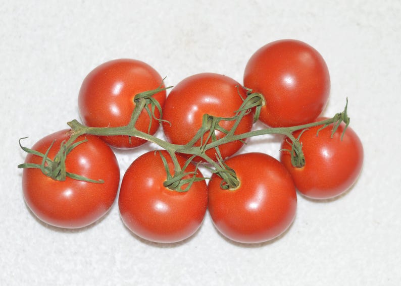 Campari Cocktail Tomato Seeds - Etsy