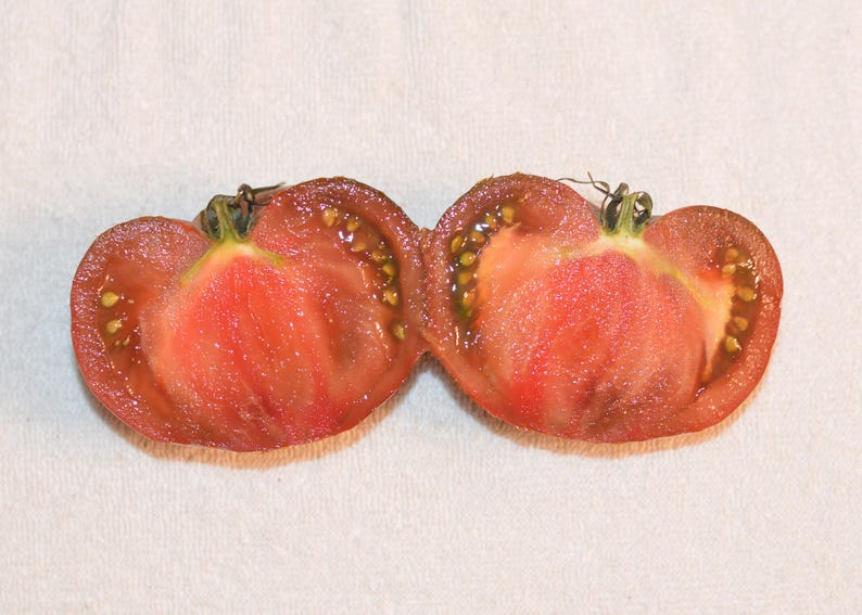Adora Spanish Heirloom Tomato Seeds - Etsy