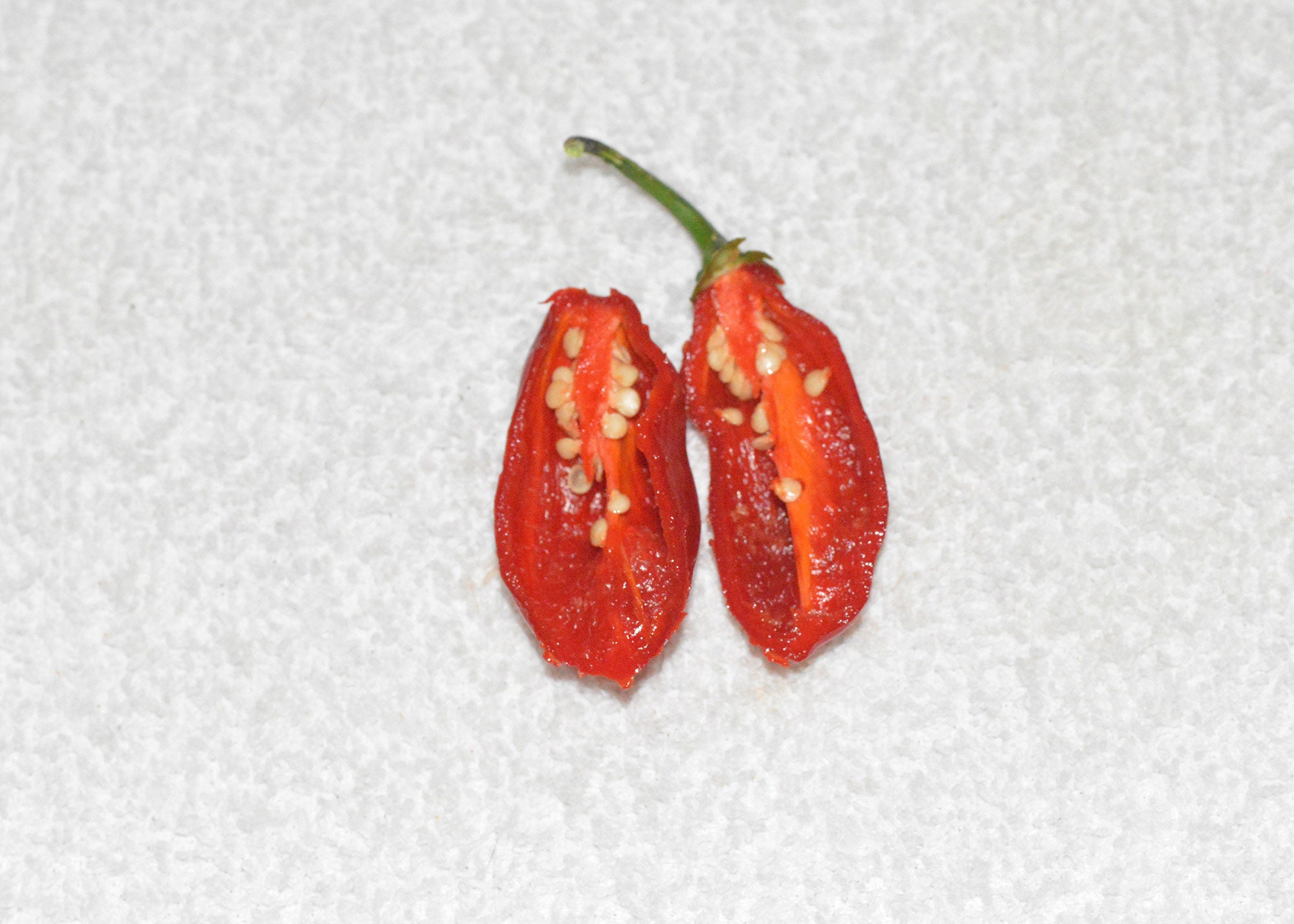 Flying Monkeys Pepper Seeds - Etsy