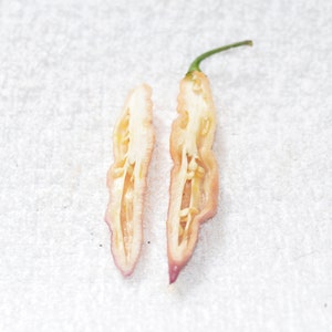 Pink Tiger Pepper Seeds - Pack of 10 - Etsy