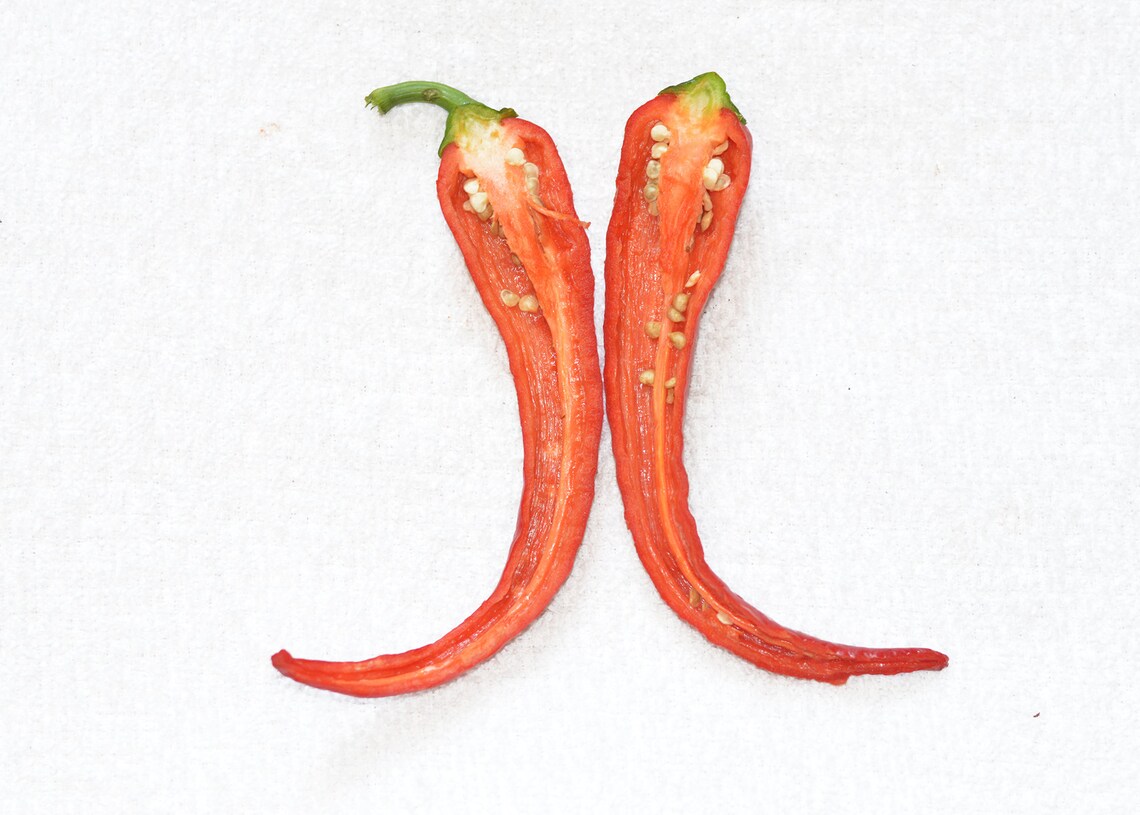 Hot Portugal Pepper Seeds Pack of 10 Seeds - Etsy