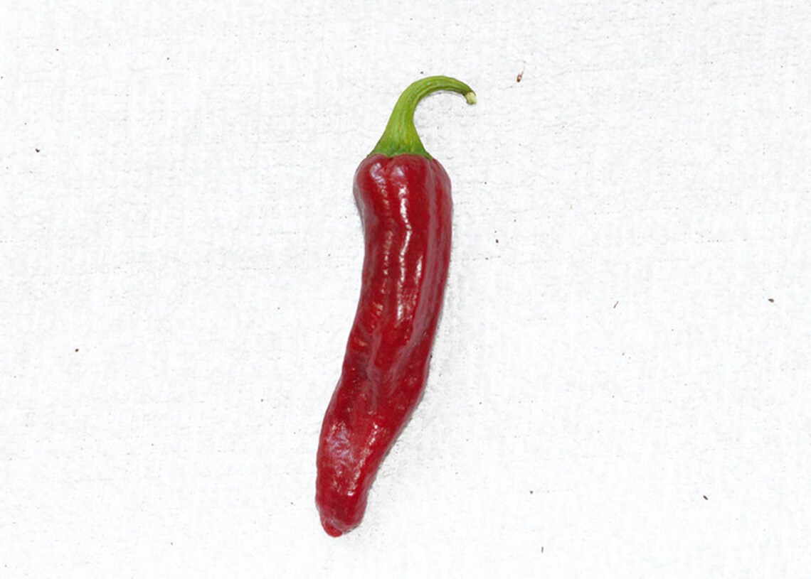 Dragon Roll Pepper Seeds - Etsy