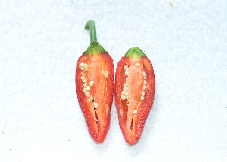 Jalapeno Gigante Pepper Seeds - Pack of 10 - Etsy