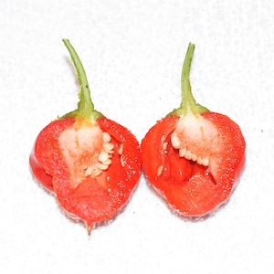 Apple Crisp Pepper Seeds - Pack of 10 - Etsy