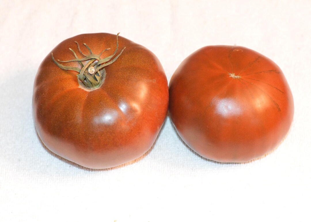 Adora Spanish Heirloom Tomato Seeds - Etsy