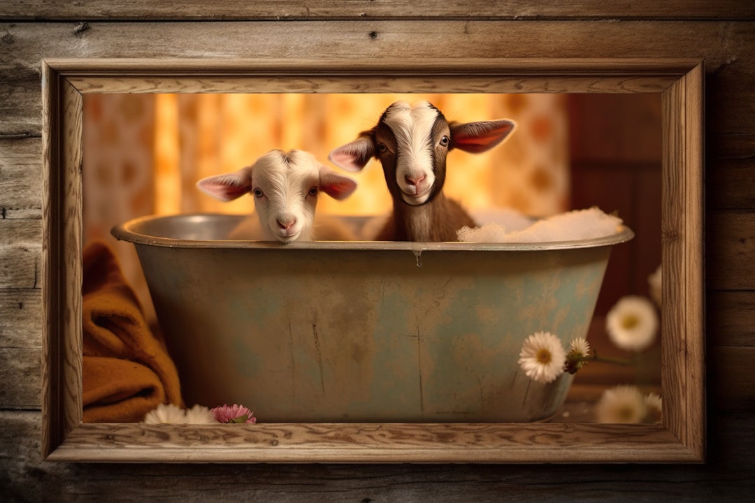 Baby Goat Wall Art, Farmhouse Bathroom Decor, Farm Animal Photography ...