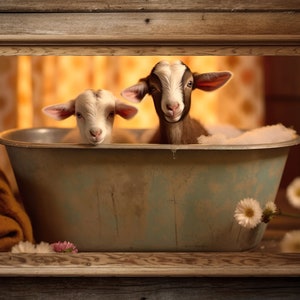 Baby Goat Wall Art, Farmhouse Bathroom Decor, Farm Animal Photography ...