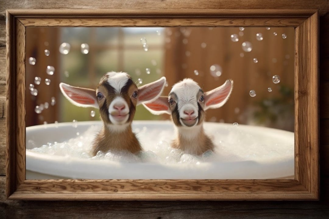 Adorable Kids in Bubbles Print, Baby Goats Wall Art, Farmhouse Decor ...