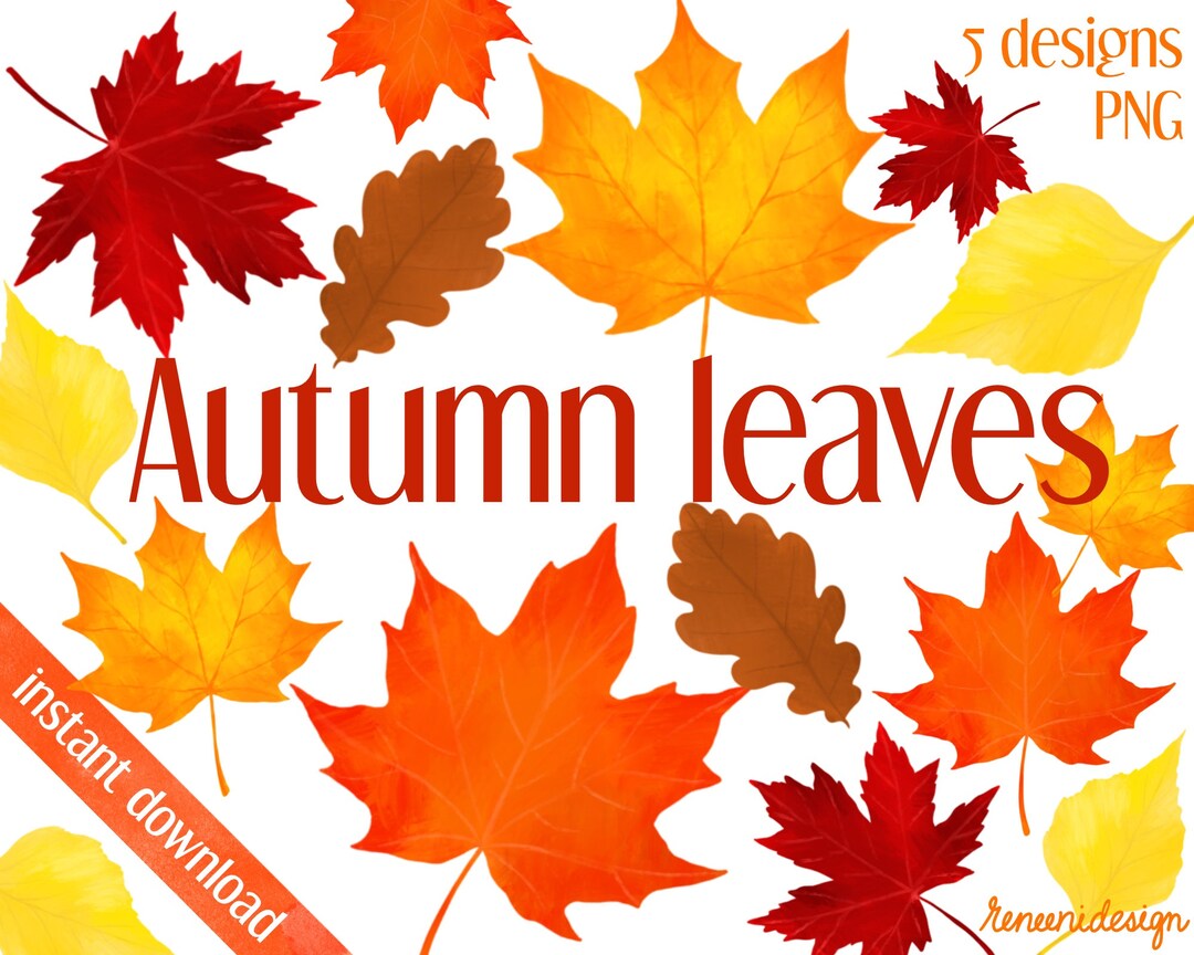 Autumn Leaves Clipart Fall Cozy Orange, Yellow, Red Clip-art Instant ...