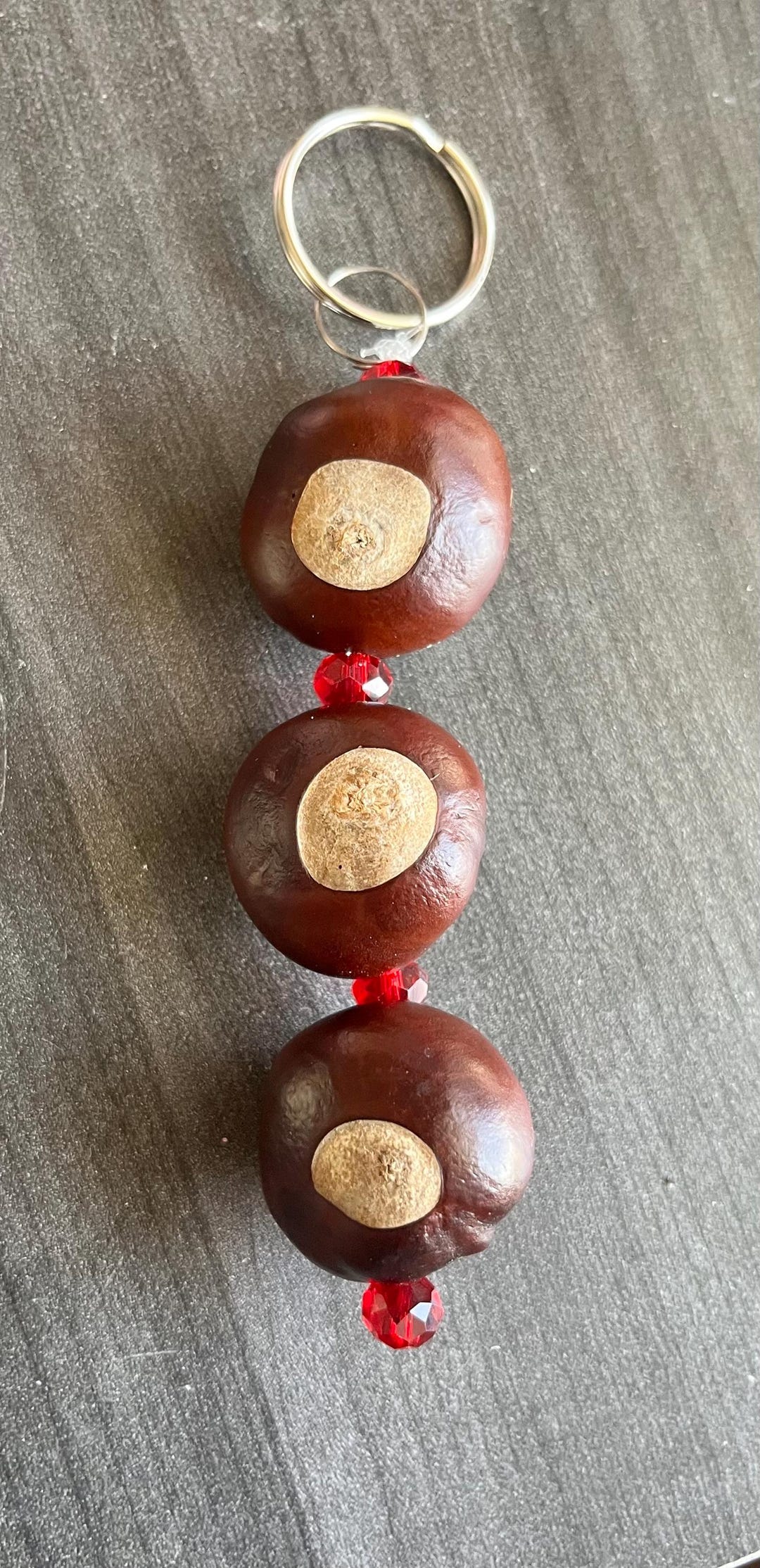 Lucky Buckeye Keychain: Ohio State Fan Gift - Etsy