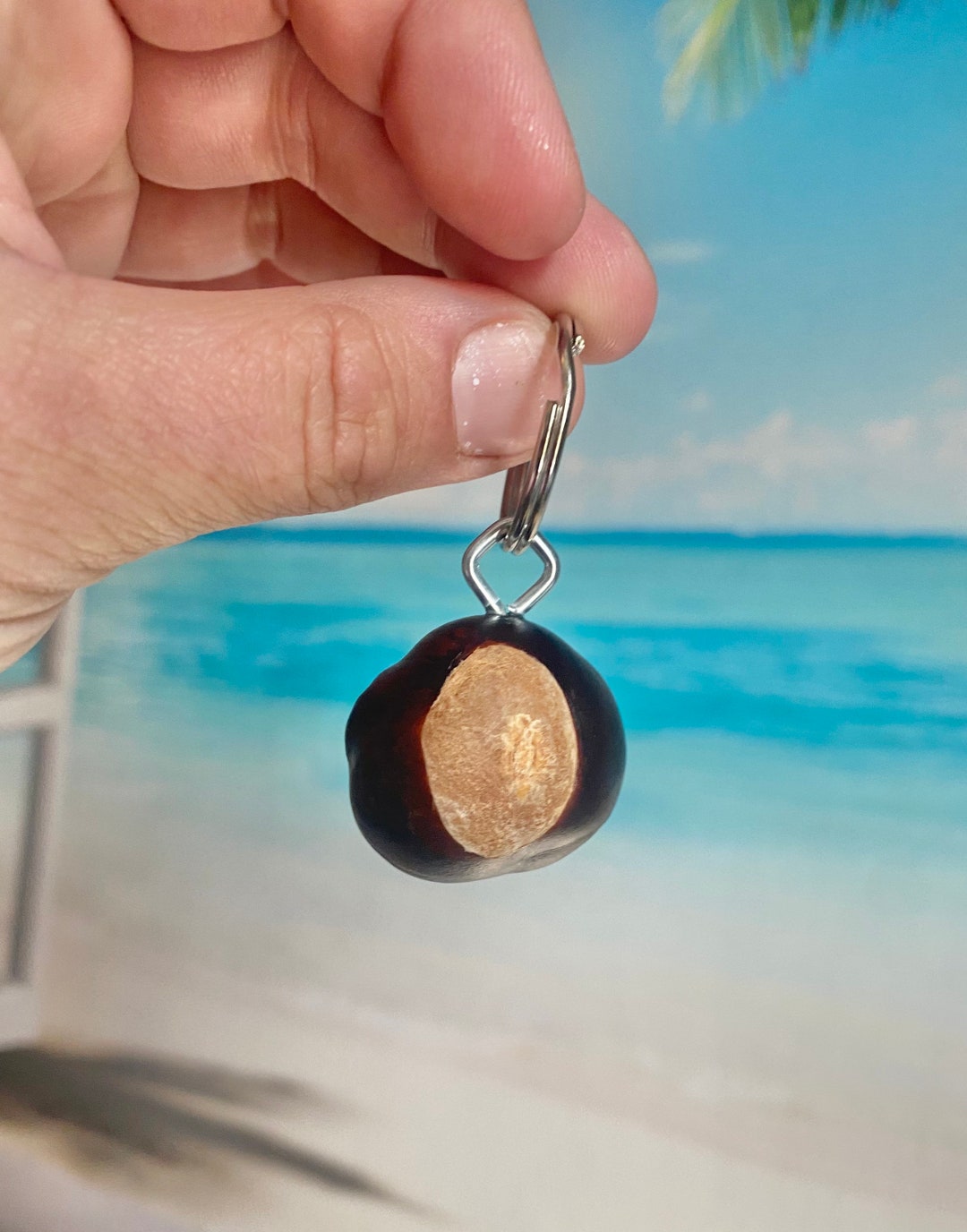 Lucky Real Buckeye Keychain - Ohio State Fan Gift - Etsy